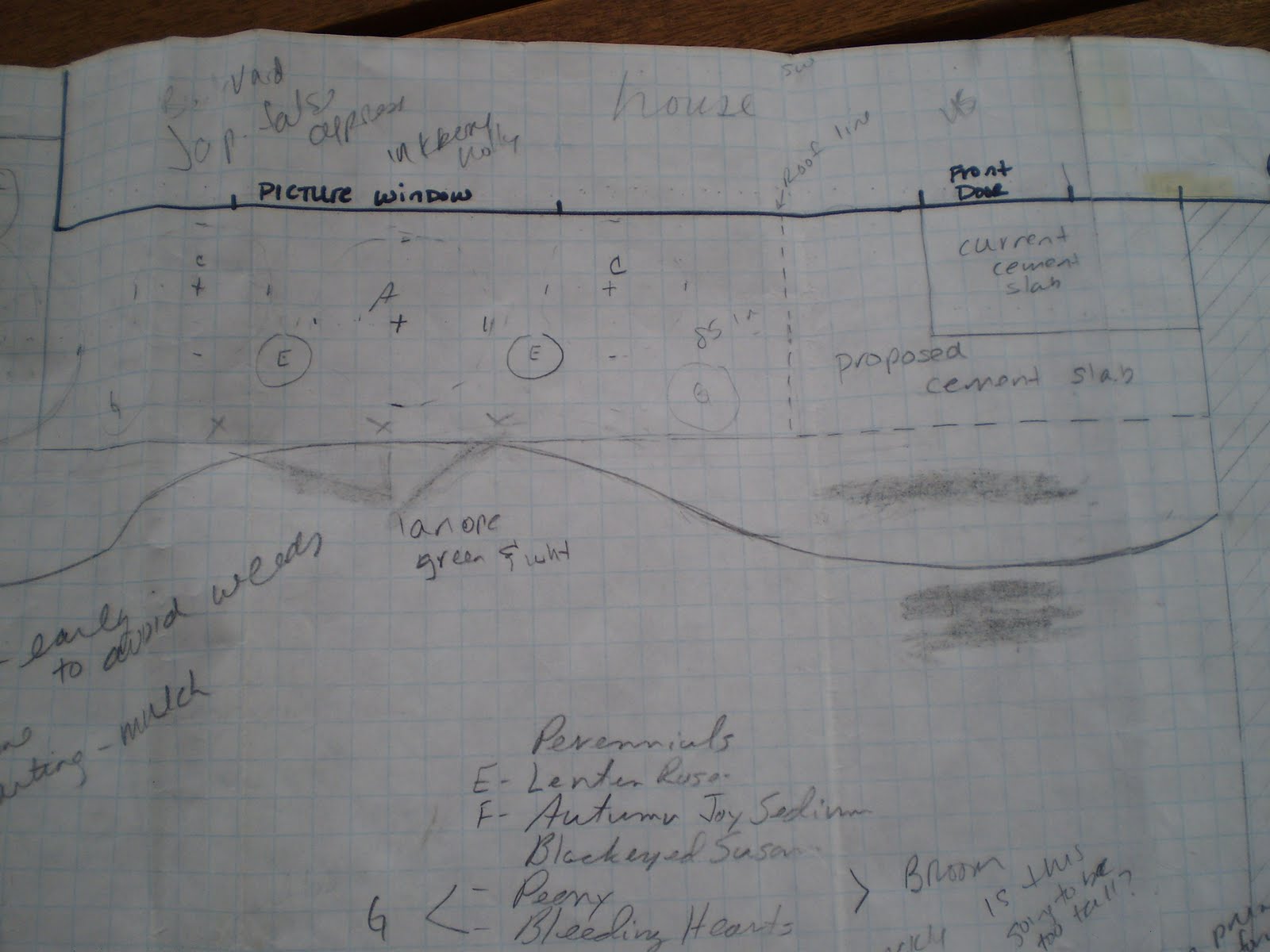 15 Tips to Help You Design Your Front Yard & Save Money too!