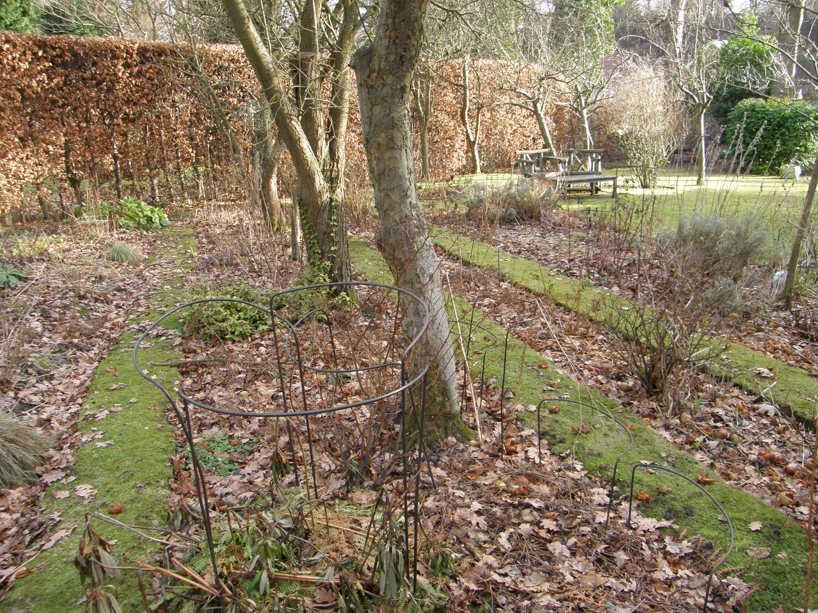 Circle of the Year: Gardening in January