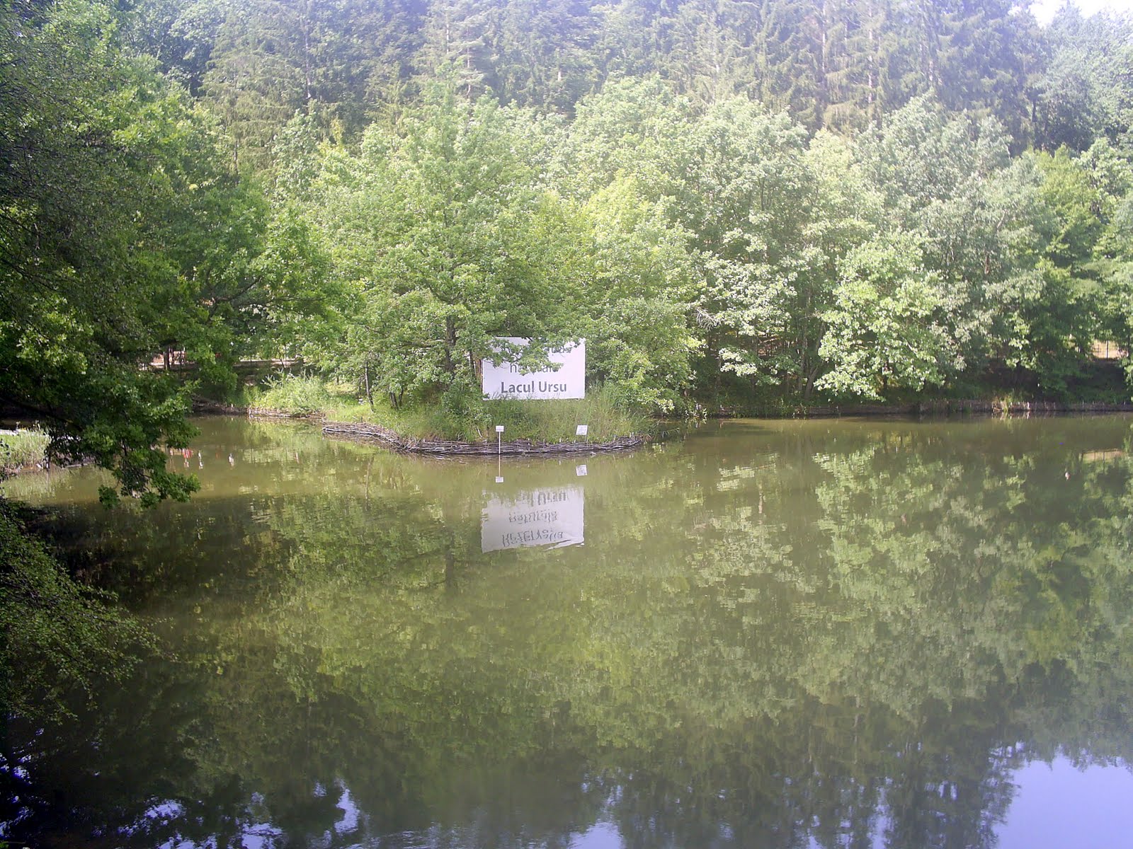 Arome si culori : Excursie la munte si la Sovata