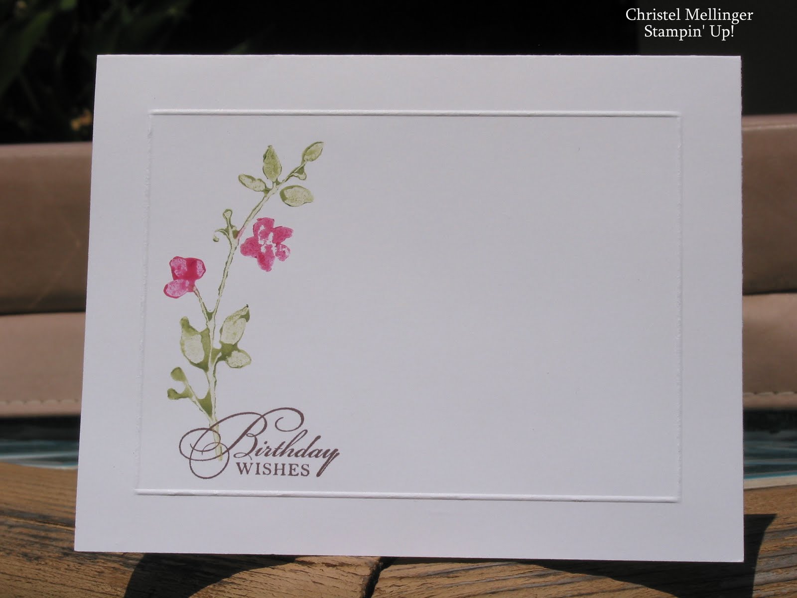 Christel's Crafty Creations: Clean and Simple One Layer Cards