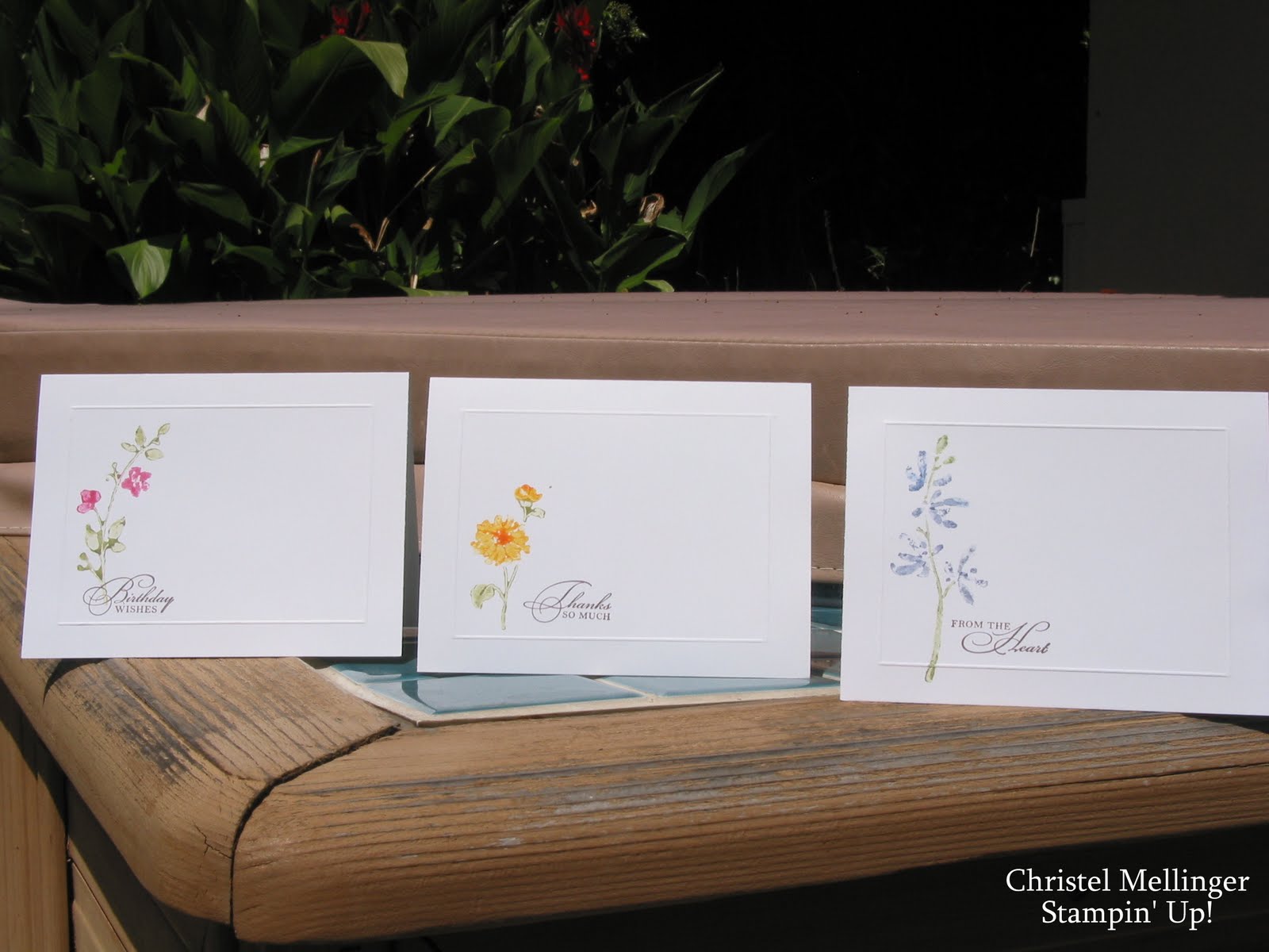 Christel's Crafty Creations: Clean and Simple One Layer Cards