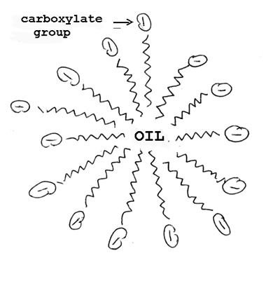 Chemistry in My Daily Life: Soap