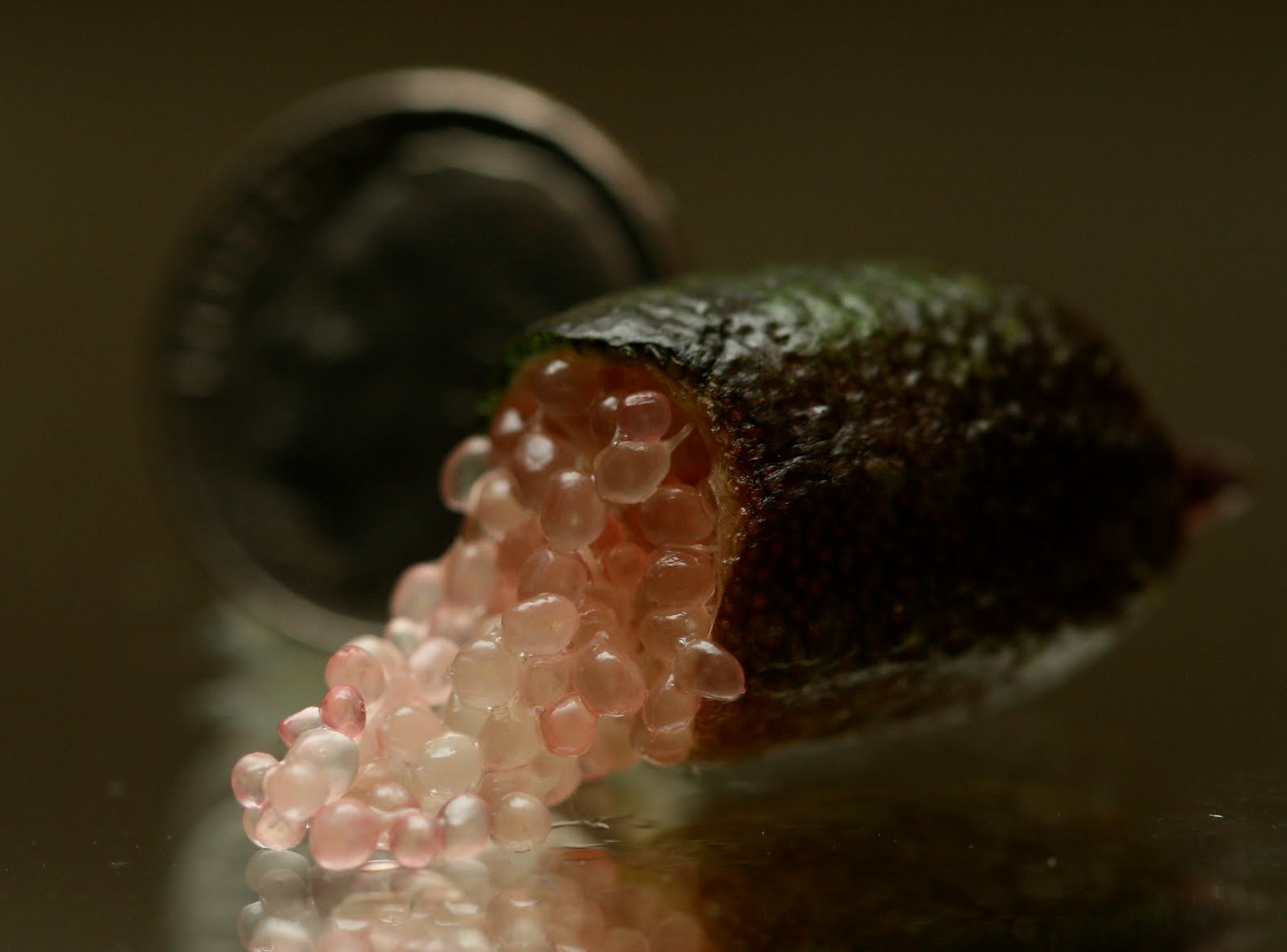 Healthy IS Delicious: Citrus Caviar?