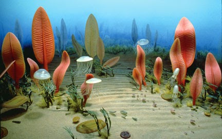 Geocriação: A fauna de Ediacara