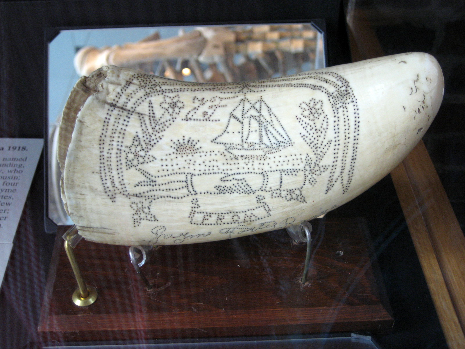 musings of a sea witch: Scrimshaw - Whaling Museum
