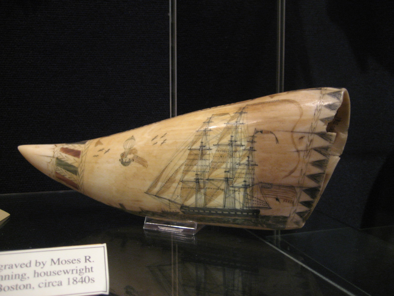 musings of a sea witch: Scrimshaw - Whaling Museum