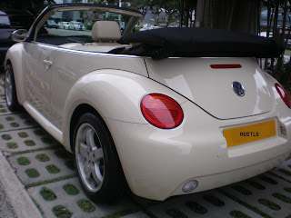 A Memorable Ride for a Lifetime: BEIGE BEETLE CABRIOLET