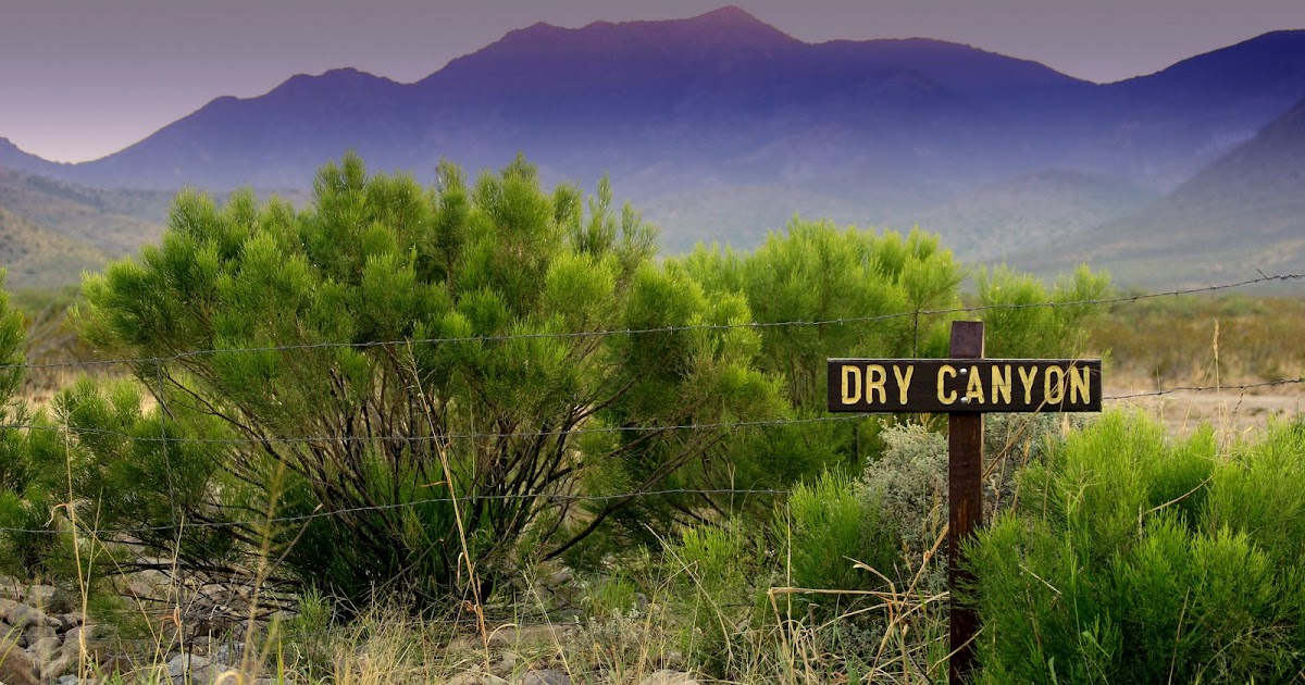 Is Arizona Dry at Jason Rocha blog