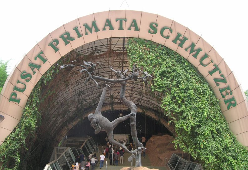 alaspitu.blogspot.com: Pilihan 15: Wisata ke Pusat Primata Schmutzer