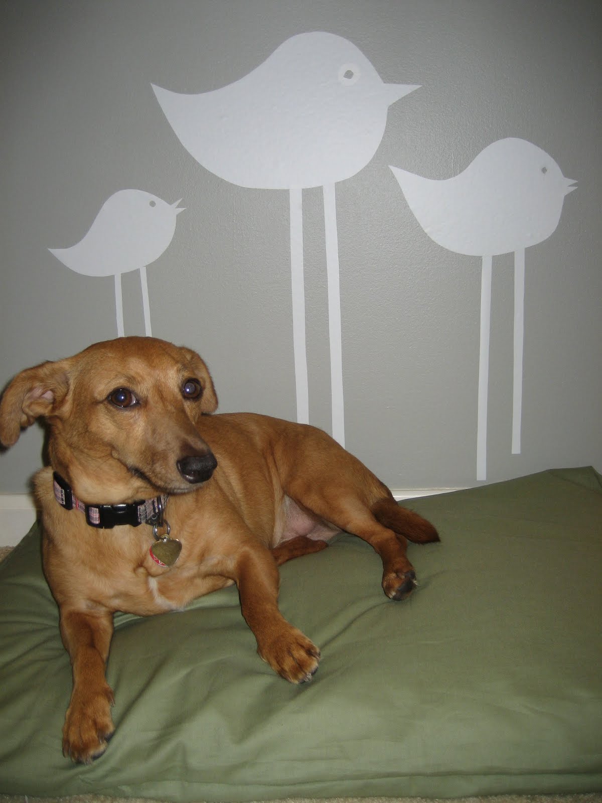 31 diy: Tutorial: How to make a birdie wall decal with contact paper