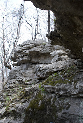 Of Wings and Wanderings: Redbud Valley Nature Preserve - Catoosa, OK ...