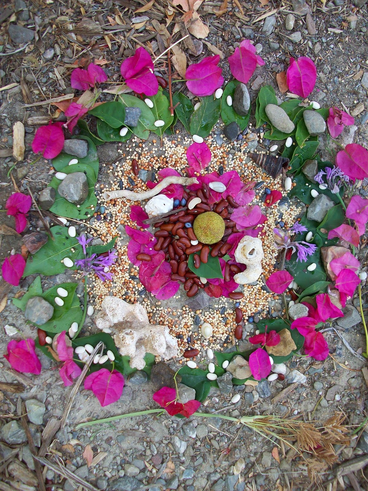 Parent Art Docents: Andy Goldsworthy