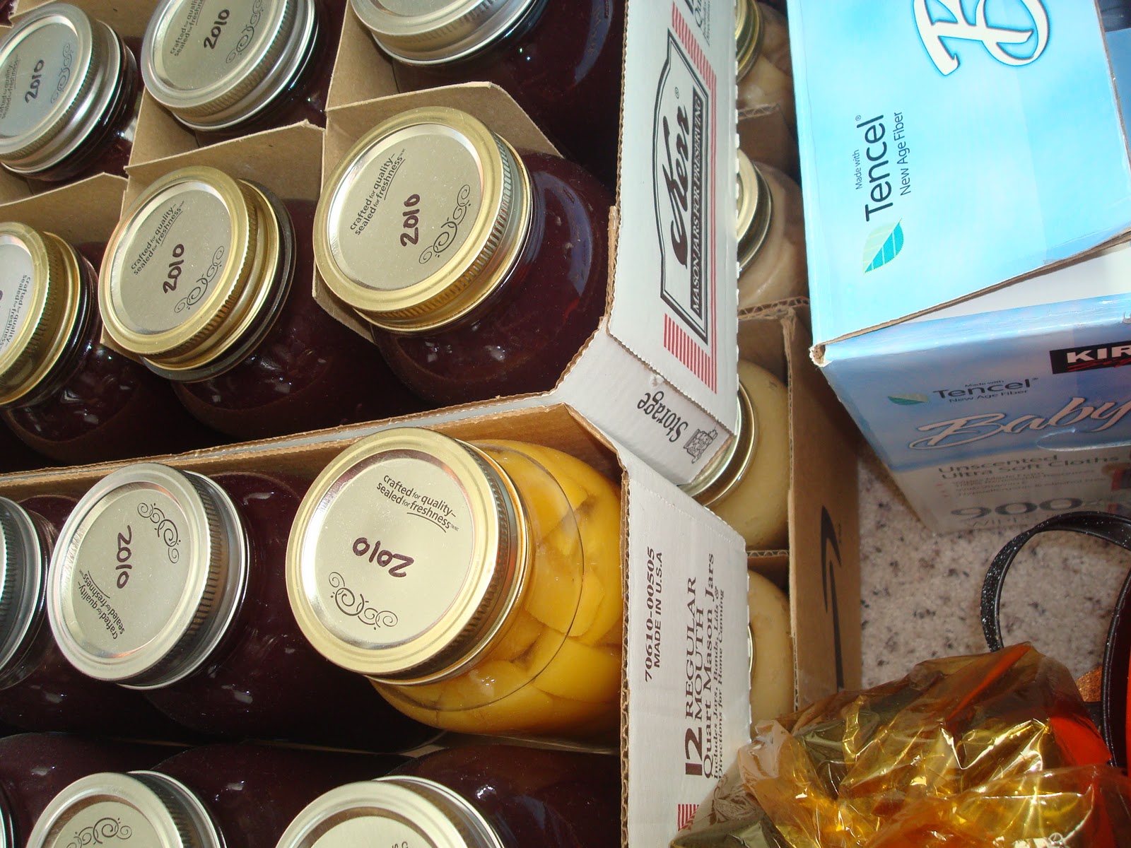 my family prepared: Small Space Food Storage Solutions