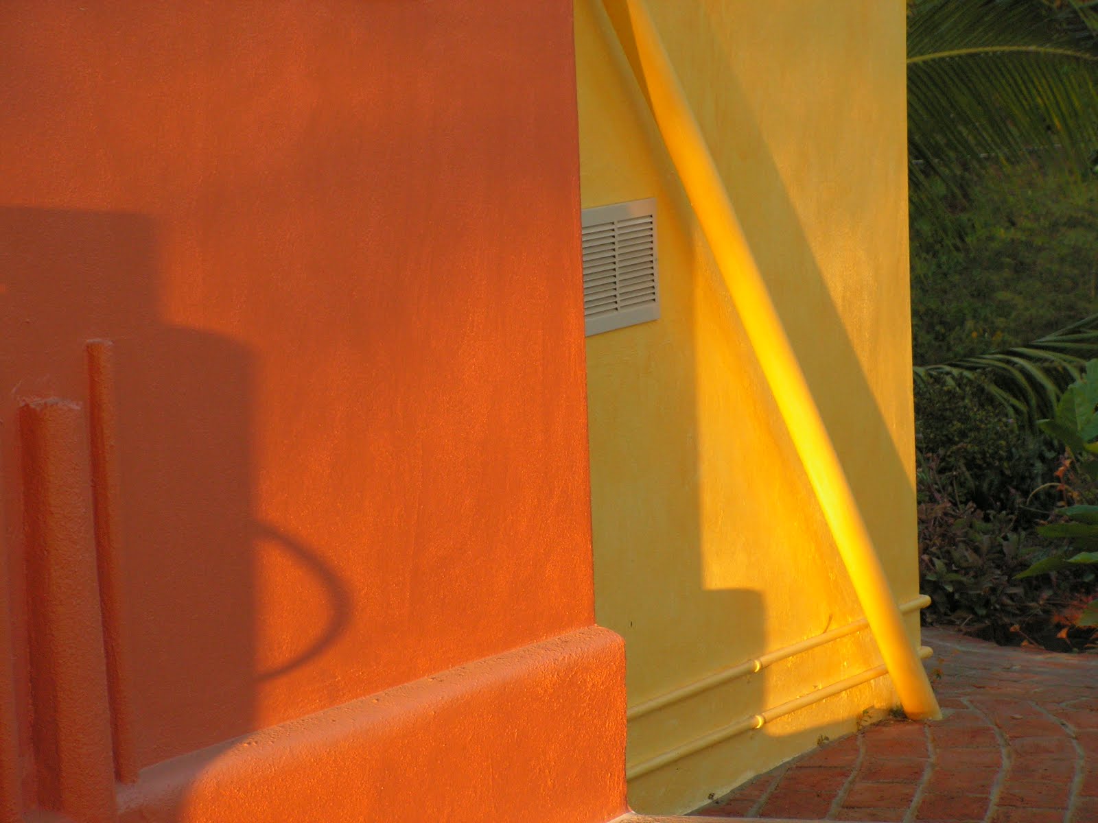 Carol Lopez - Painter