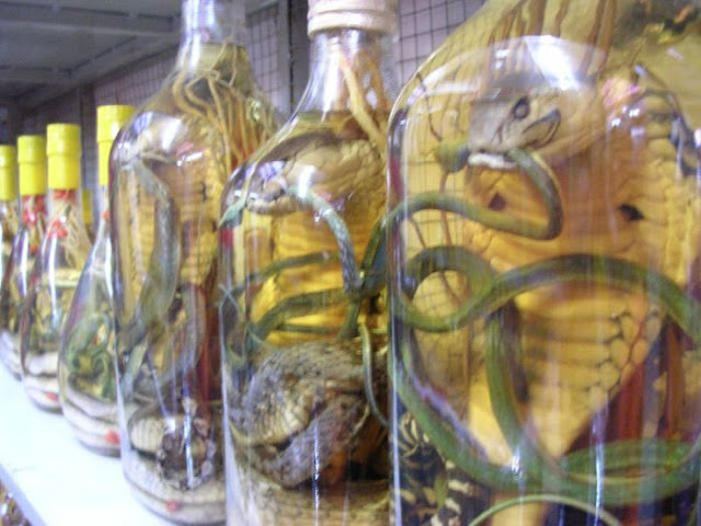 Snake wine | Vietnam Liquor - Spluch - Interesting/Fun Stuff From ...