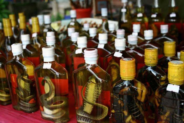 Snake wine | Vietnam Liquor - Spluch - Interesting/Fun Stuff From ...