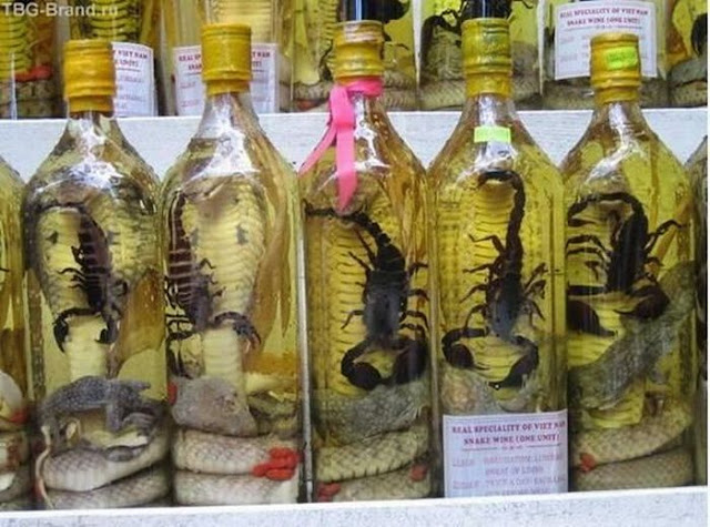 Snake wine | Vietnam Liquor - Spluch - Interesting/Fun Stuff From ...