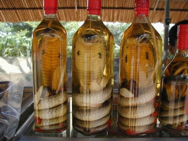 Snake wine | Vietnam Liquor - Spluch - Interesting/Fun Stuff From ...