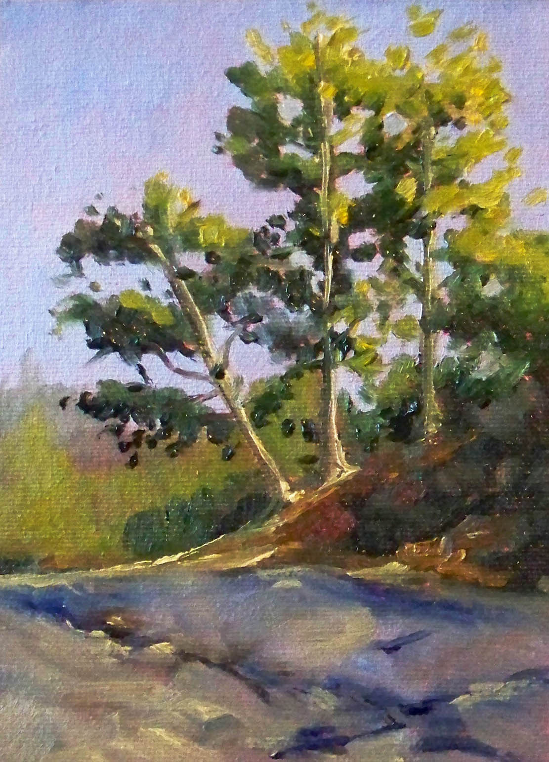 Painting Small Impressions: Evening Sunlight