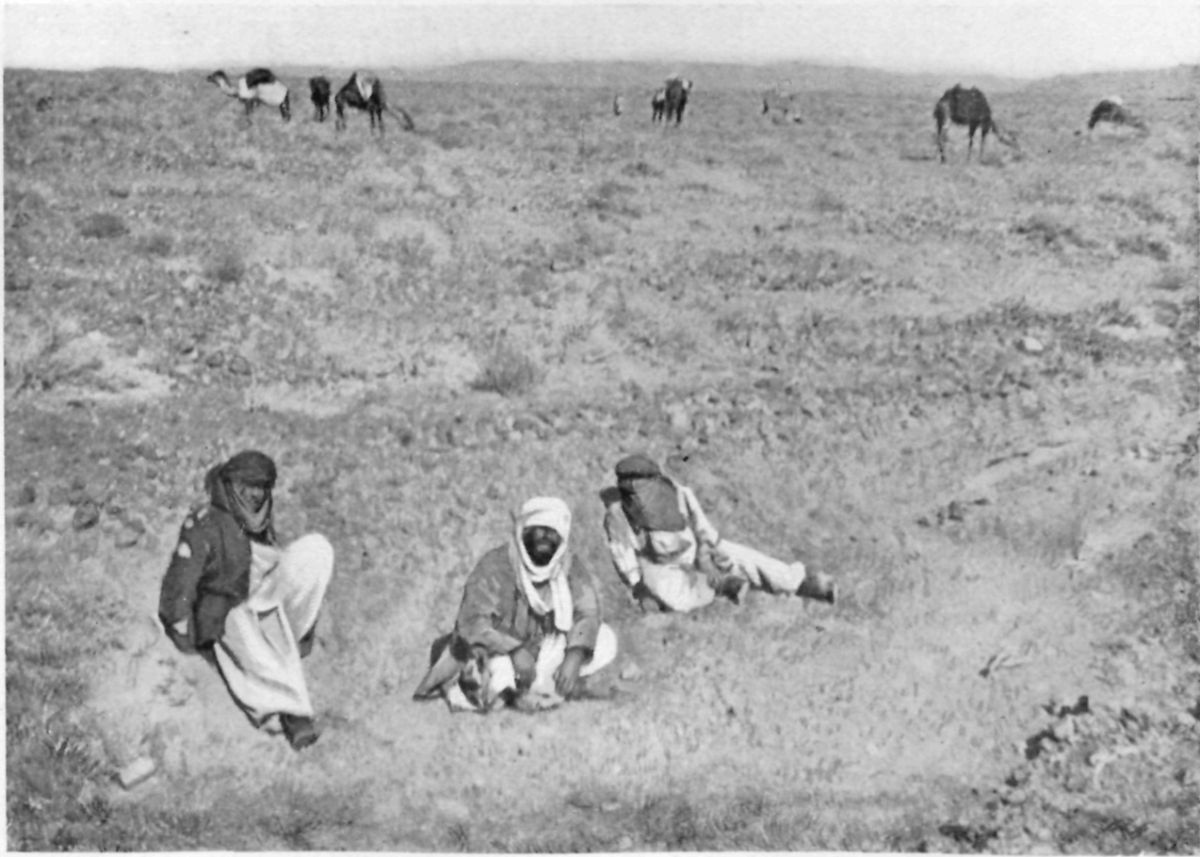 United Balochi Academy: In the Afghan Desert. Afghan Caravan Men.