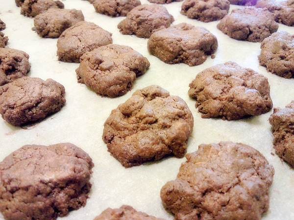 B8KING NEWS: Famous Amos Cookies (recipe with dessicated coconut)