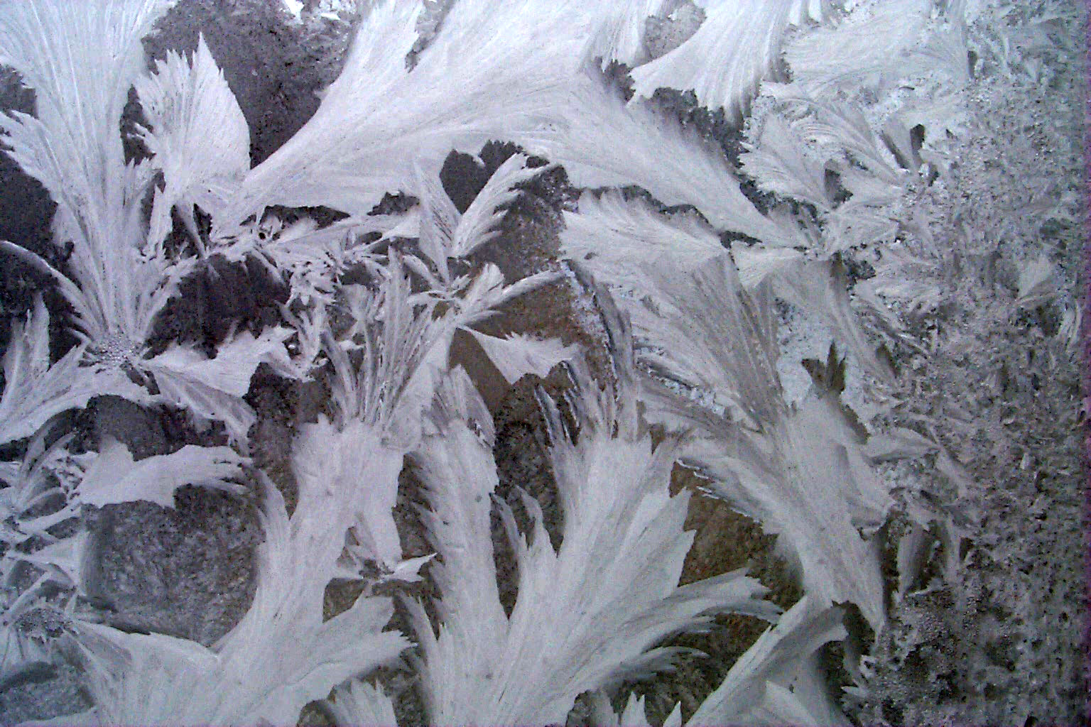 Retired Xraycrystallographer January 2011 Retired Xraycrystallographer January 2011