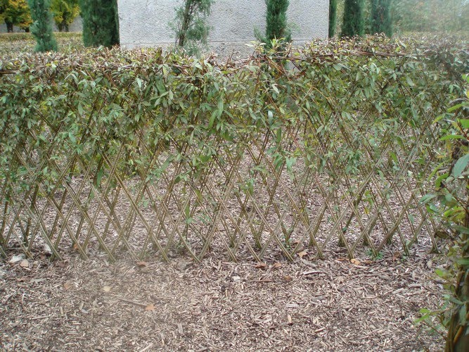 Ledoubsjardindanabel