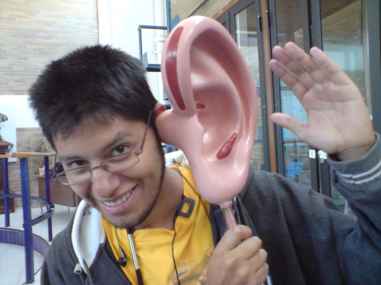 Tipo´s life: Los Orejones