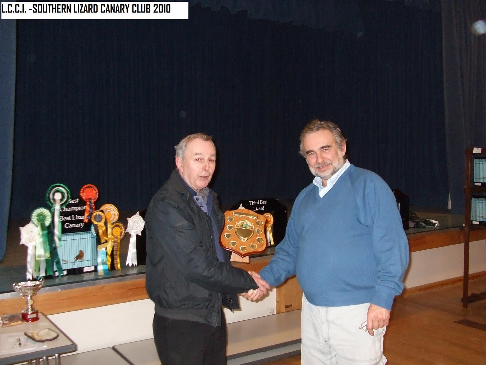 Allevamento del canarino Lizard e del London Fancy: SOUTHERN LIZARD ...