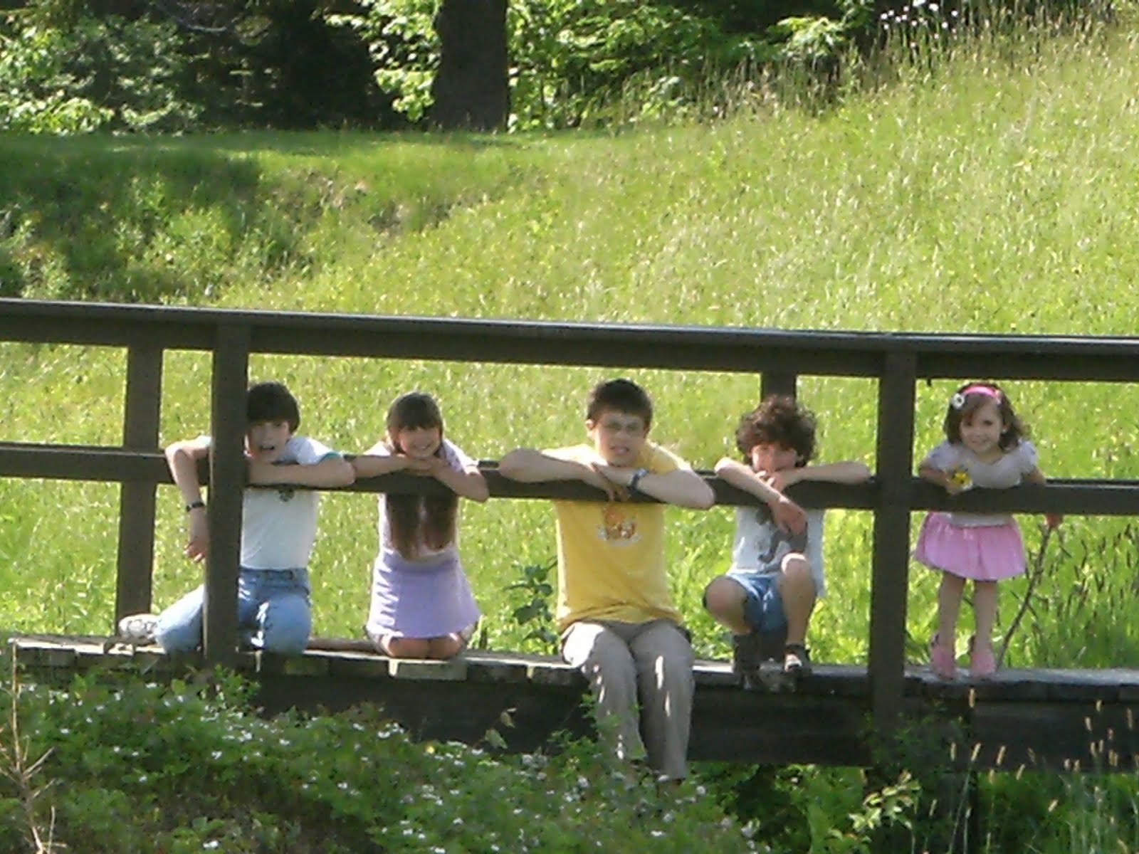 Our Homeschooling Pilgrimage: About Us