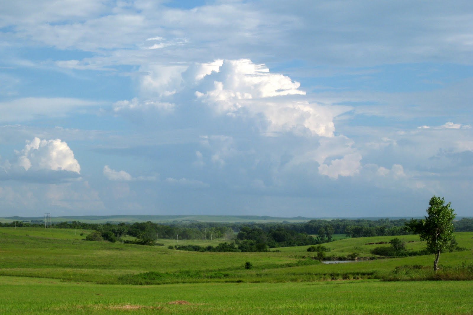 A perfectly flat Kansas [1080x757][OS] : r/MapPorn