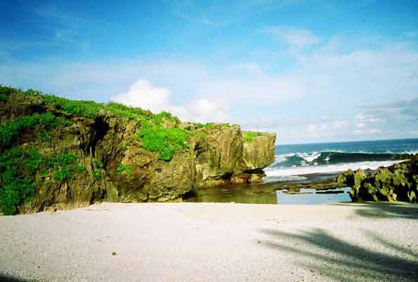 FLORA AND BEACH'S IN CHRISTMAS ISLAND