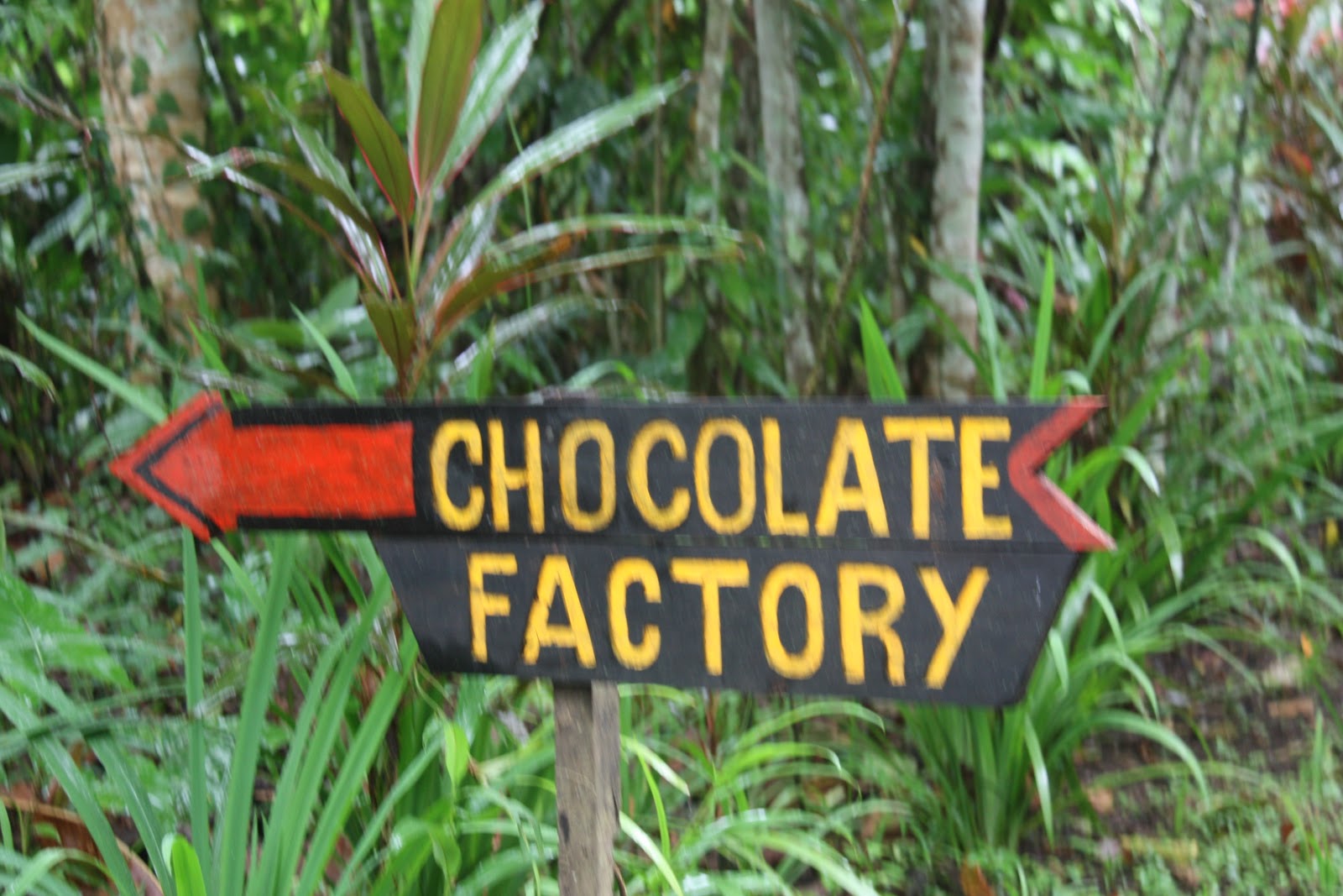 Central American Adventures...