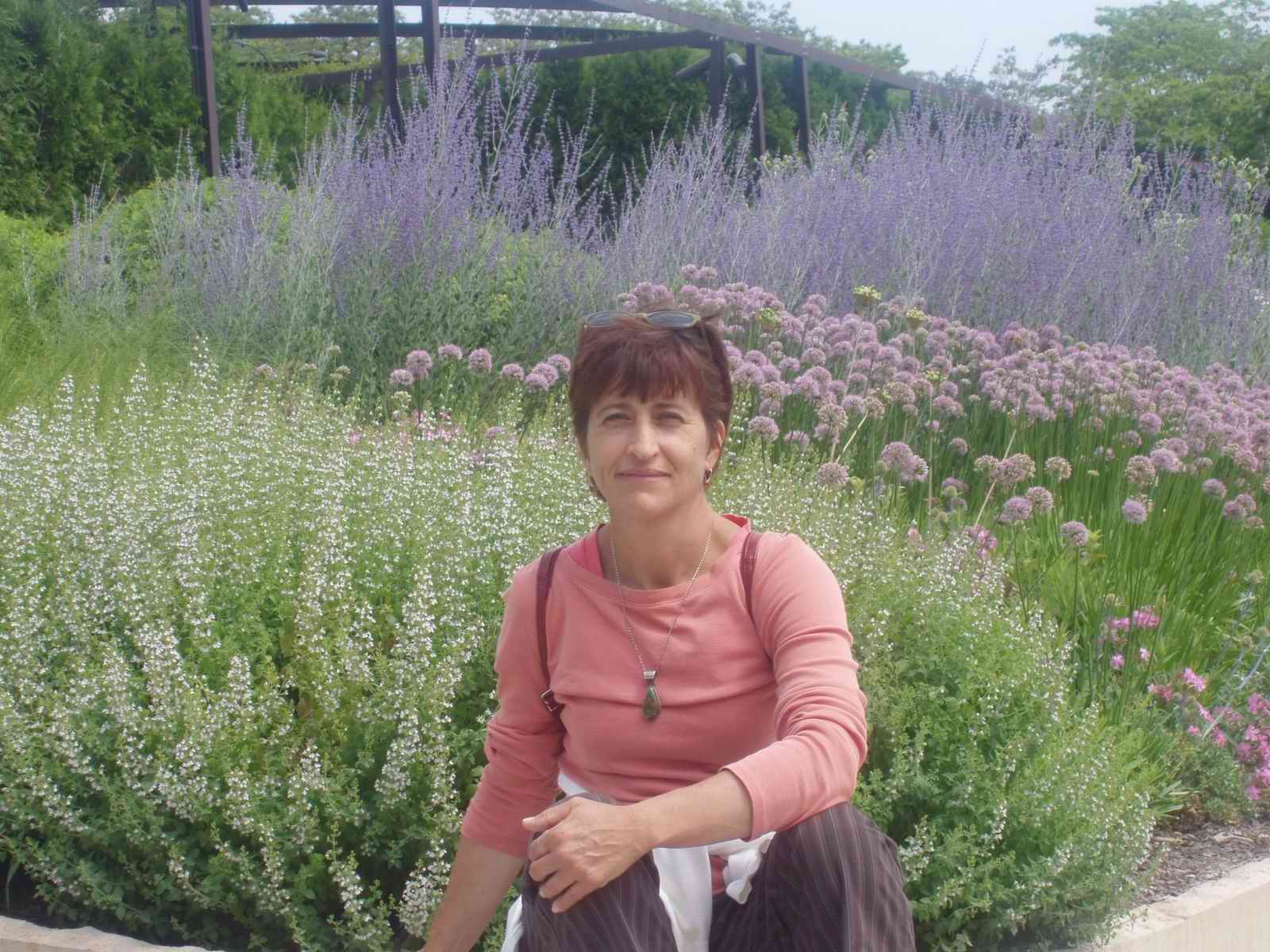 Kim's Garden: About Kim