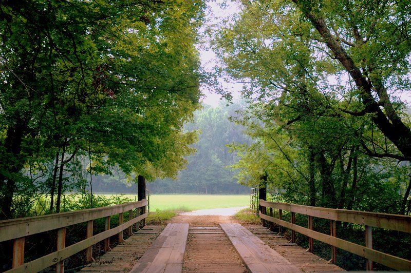 Selma, Ala. Daily Photo: Country Crossing