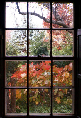 THE VILLAGE VOICE: SWEET LIFE ~ OAKLEAF HYDRANGEA / PEAR NUT BREAD with ...