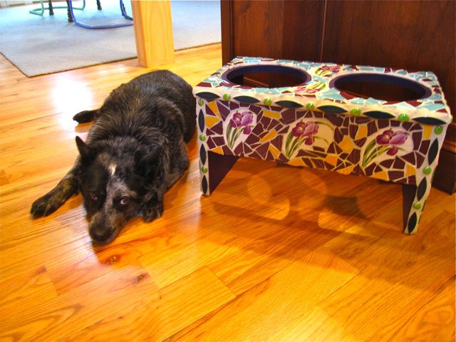 Laura Winzeler Designs: Mosaic Dog Buffet! For The Dogs Who Truly Have ...