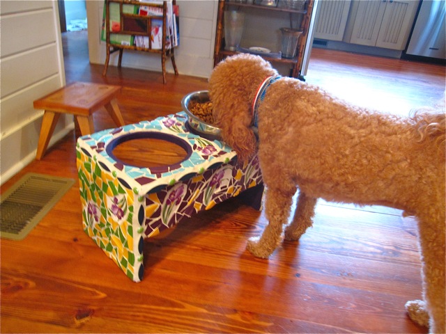 Laura Winzeler Designs: Mosaic Dog Buffet! For The Dogs Who Truly Have ...