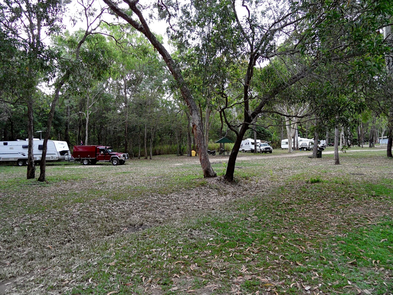 Avan Touring in Australia: Rifle Creek Rest Area, Mount Molloy