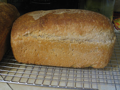 Bittman Recipe Reviews: Whole Wheat Sandwich Bread (variation)