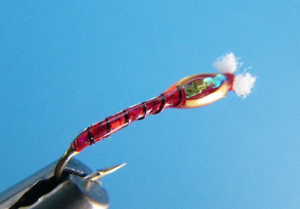 cp's fly fishing and fly tying: Yankee Buzzer - New Chironomid paterrn