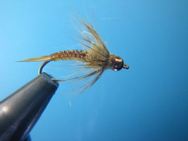 cp's fly fishing and fly tying: Soft Hackle "D" rib Golden Stone Nymph