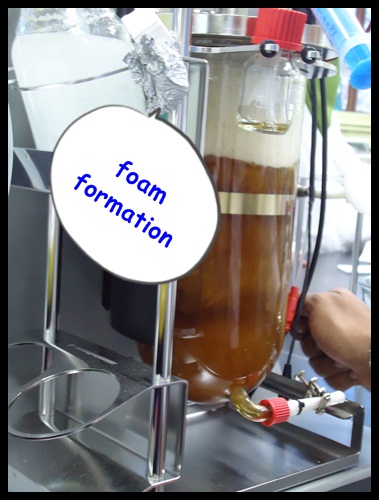 It Is All About Bioprocess Technology: THIRD DAY: 24 Hours Lab