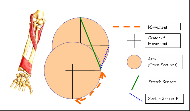 Motion Capturing with Stretch Sensor : 네이버 블로그