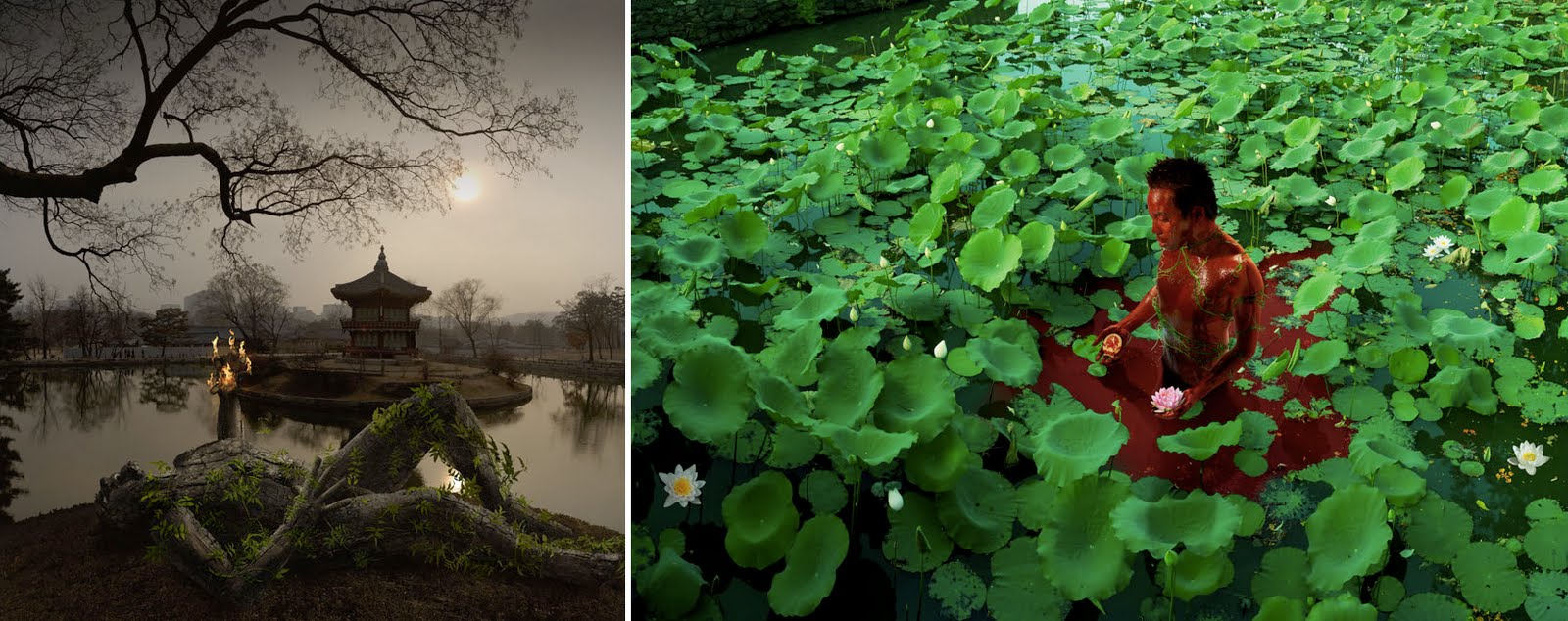 500 Photographers: Photographer #046: Simon Strong