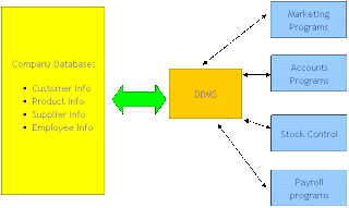 Data Base Management Systems (DBMS): Advantages of using DBMS