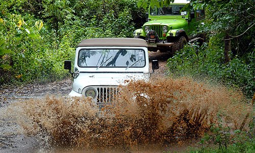 off road focus: เทคนิคการขับรถออฟโรด