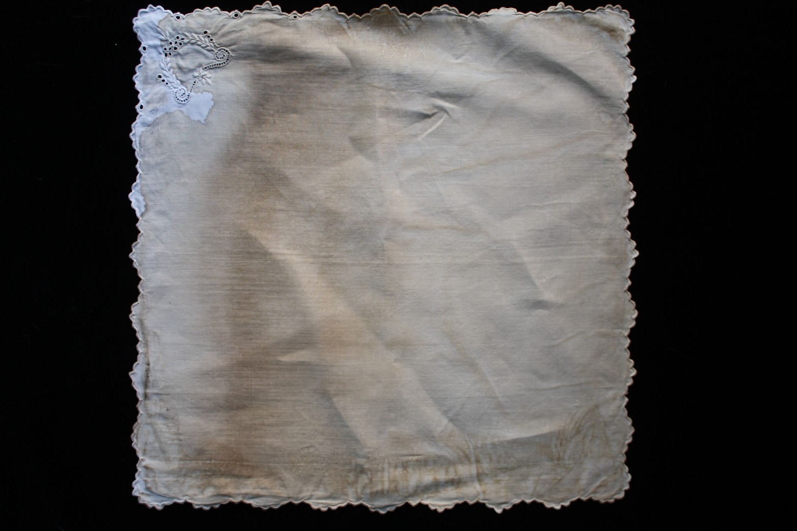 Pictures From My Window