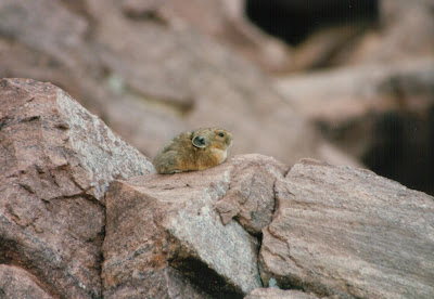 Cannundrums: King's Peak