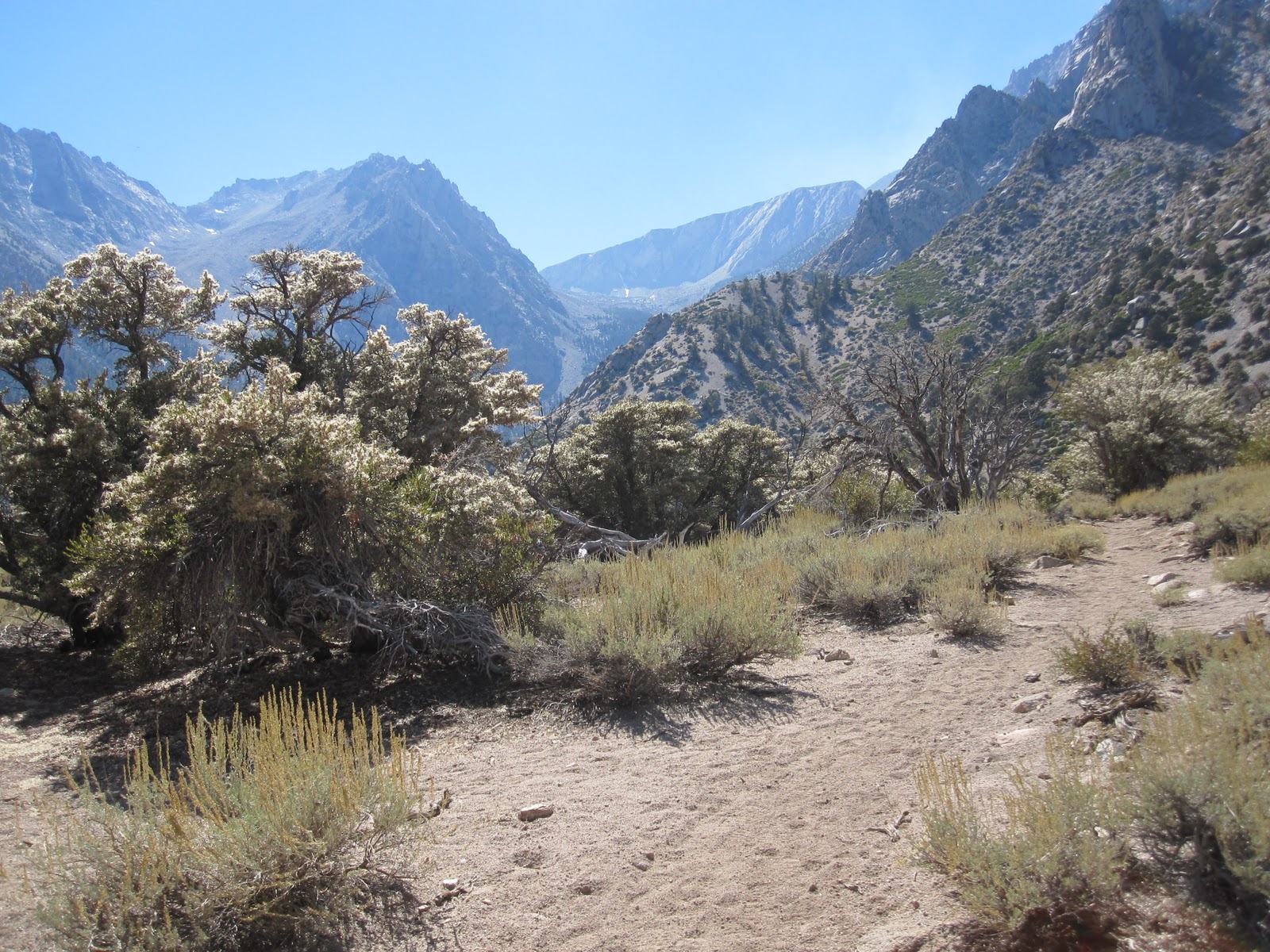 Cannundrums: Shepherd Pass and Mount Tyndall